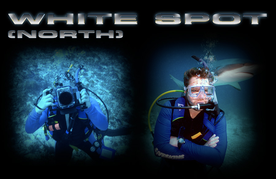 Cooper River Fossil Diving